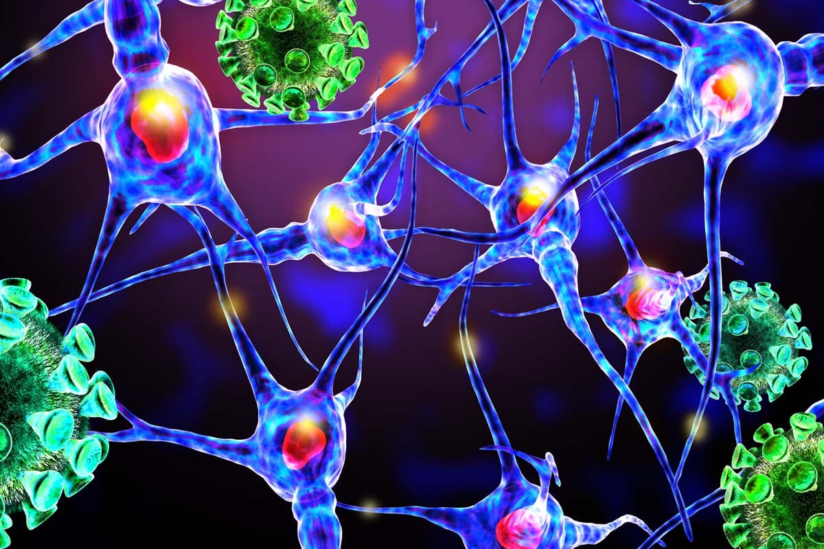 Quando o coronavírus ataca o cérebro - Vida Indigital